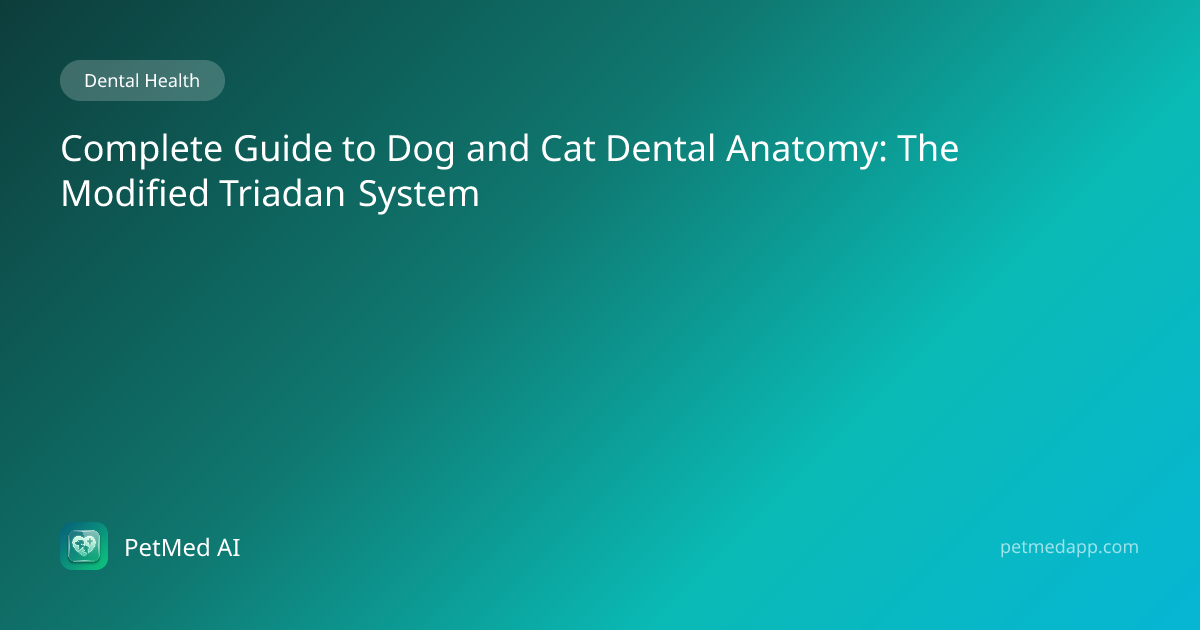 Complete Guide to Dog and Cat Dental Anatomy: The Modified Triadan ...