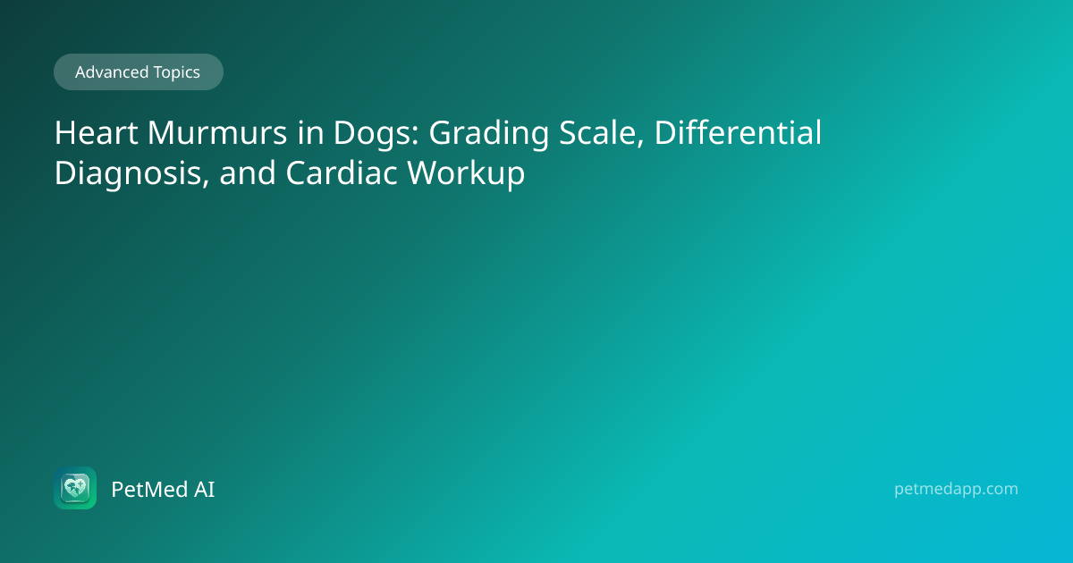 Heart Murmurs in Dogs: Grading Scale, Differential Diagnosis, and ...