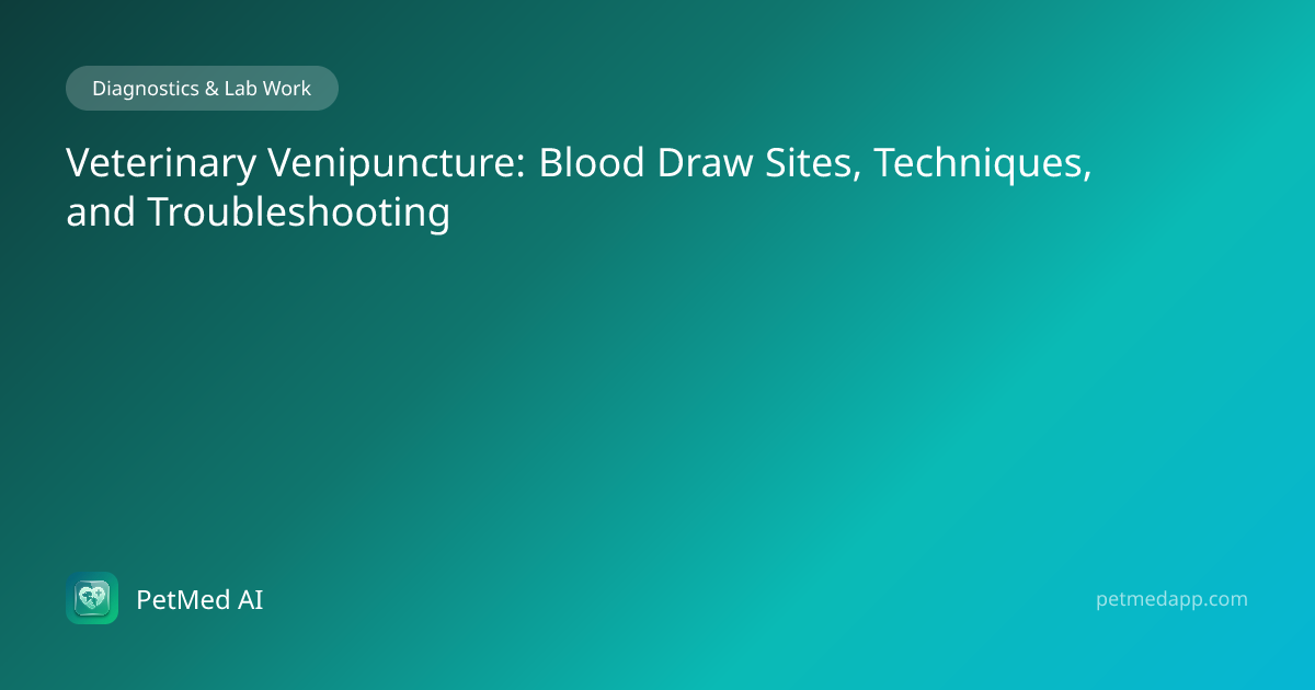 Veterinary Venipuncture: Blood Draw Sites, Techniques, and ...